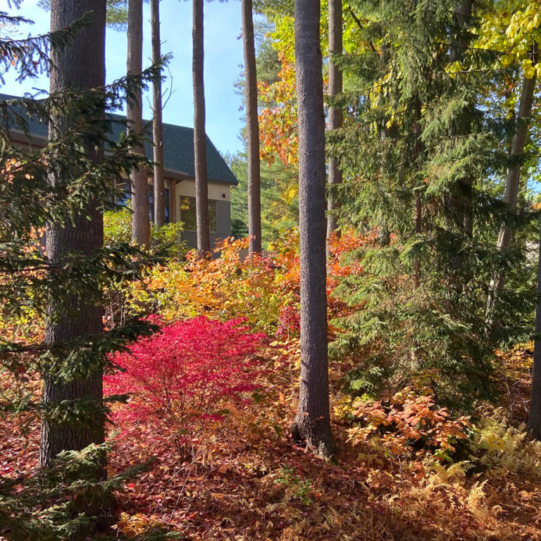 Zoe Cousineau ’20 - The Derryfield School