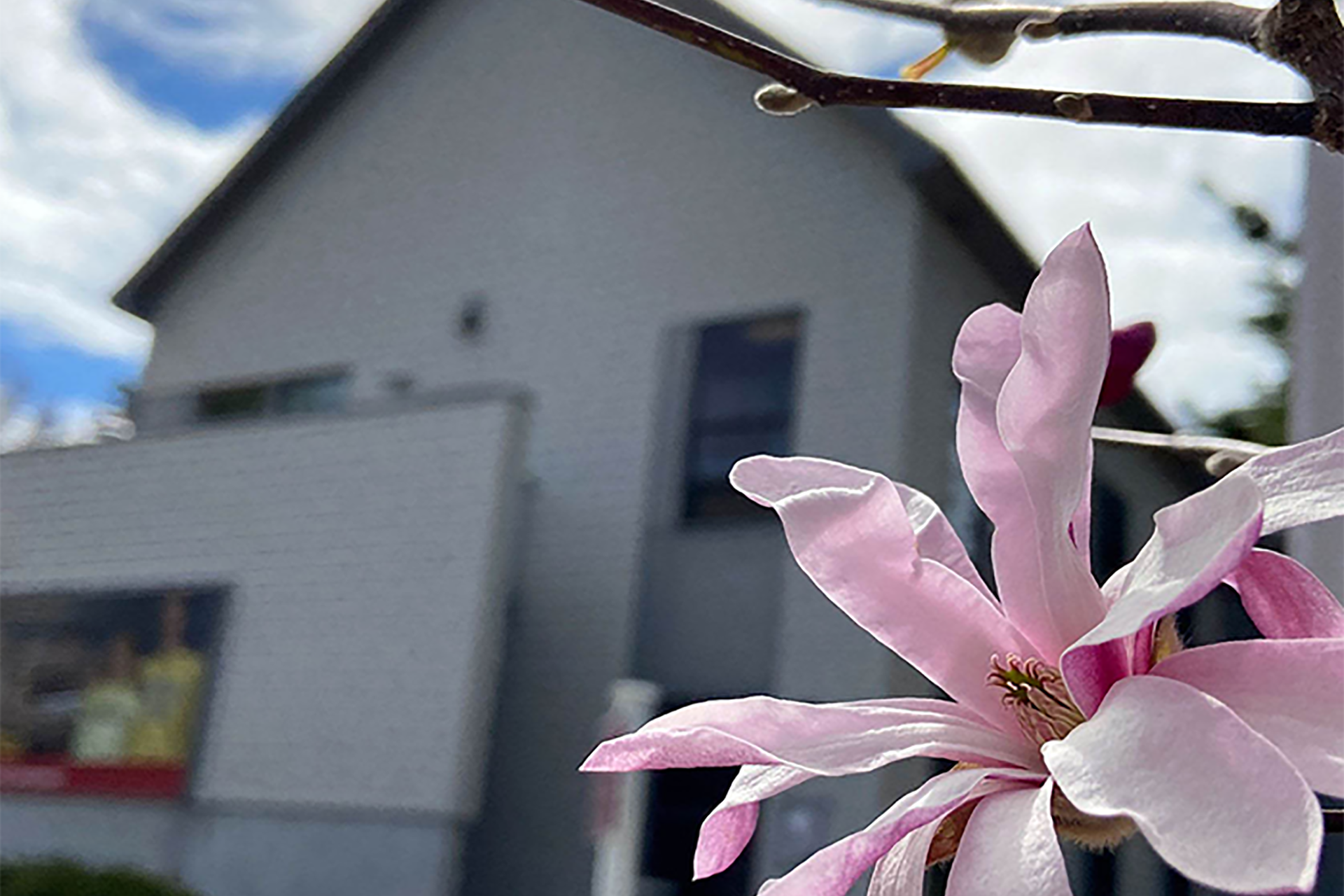 Careers - The Derryfield School