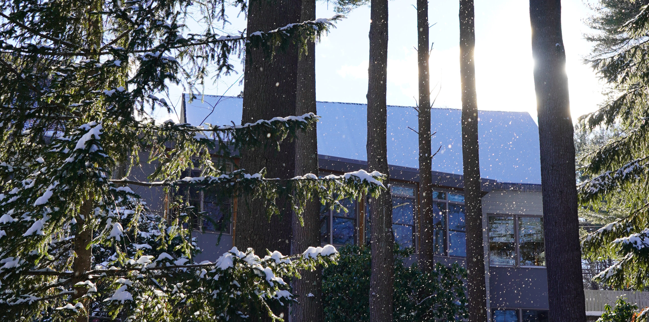 Private School in Manchester NH | The Derryfield School