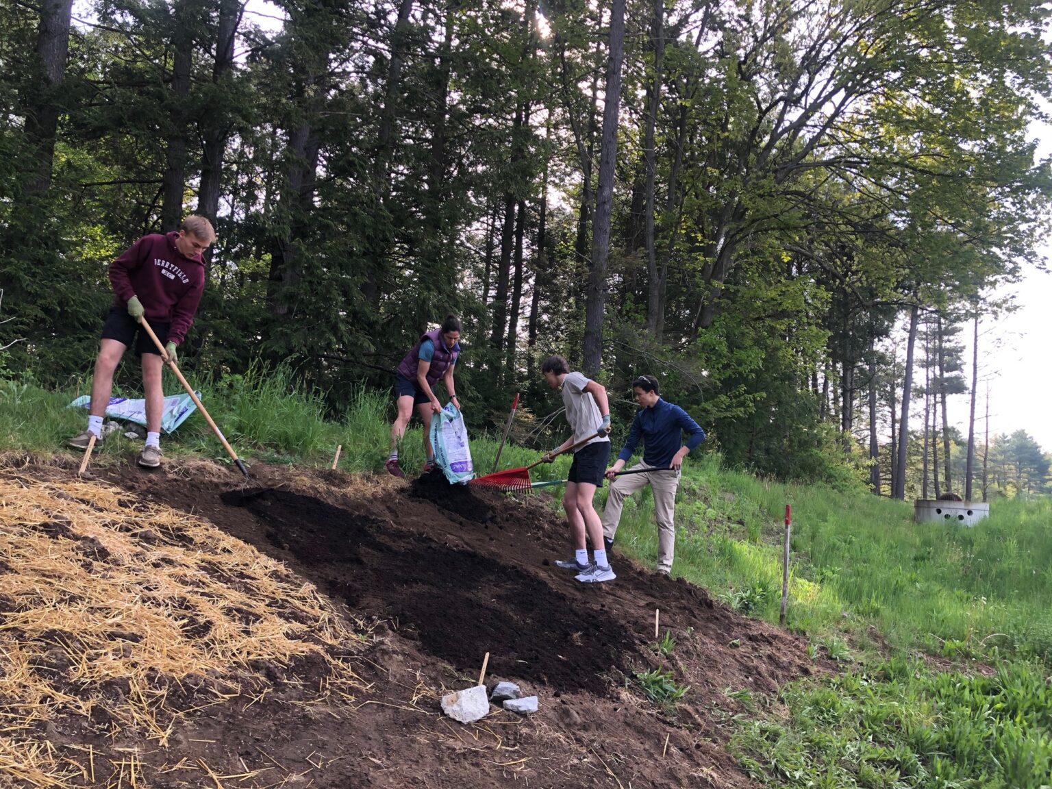 The Pollinator Garden Project - The Derryfield School